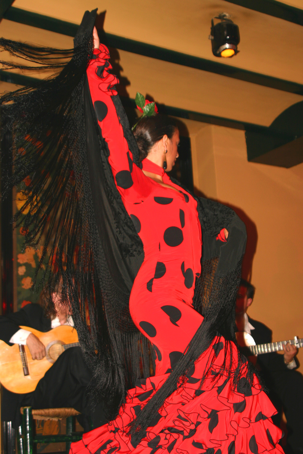 FLAMENCO DANCER-SEVILLA, ESPANA | Shutterbug